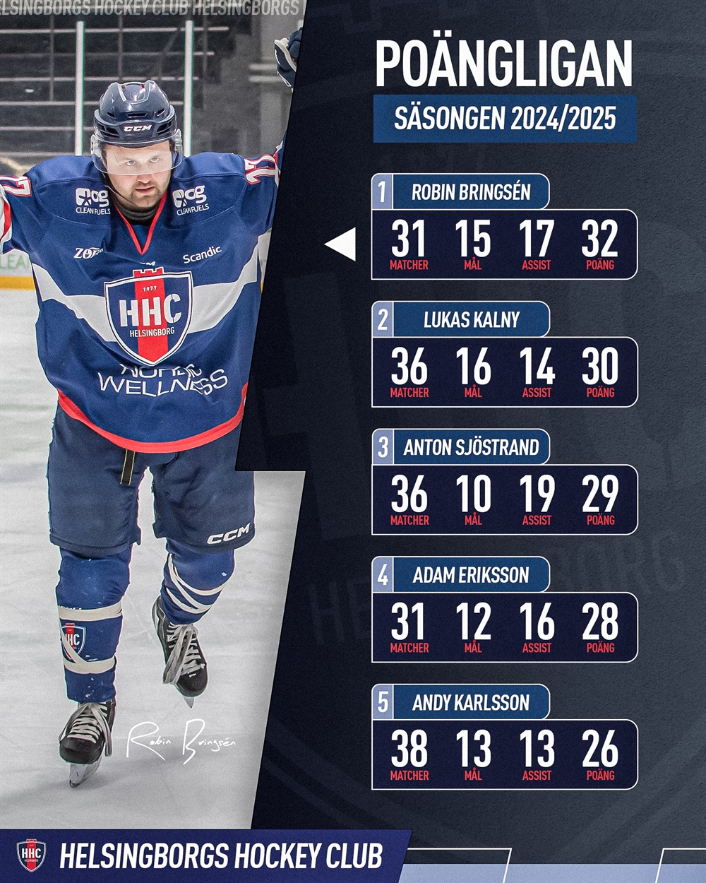 Helsingborgs HC - A-lag - Hockeytvåan