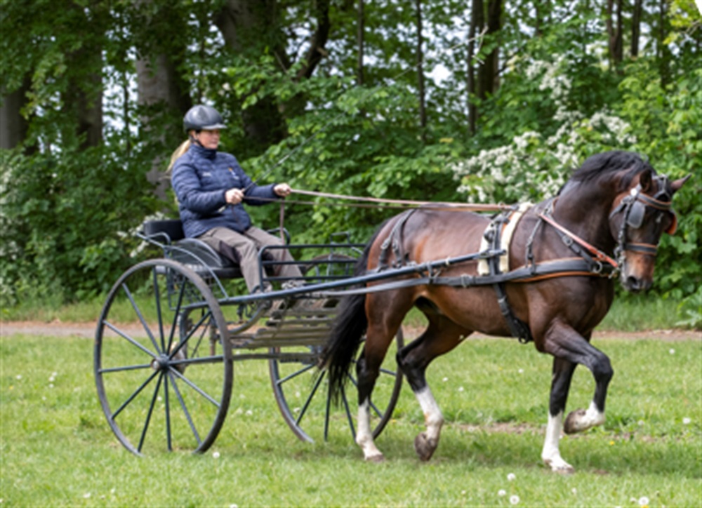 Kör el Tömkör för Marie Kahrle. / Kinda RF